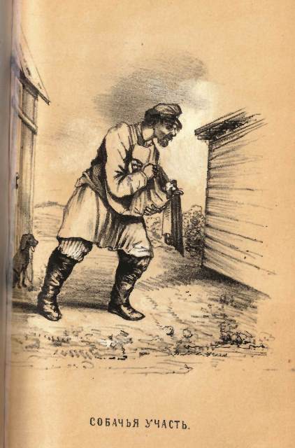 European studies blog: Animals